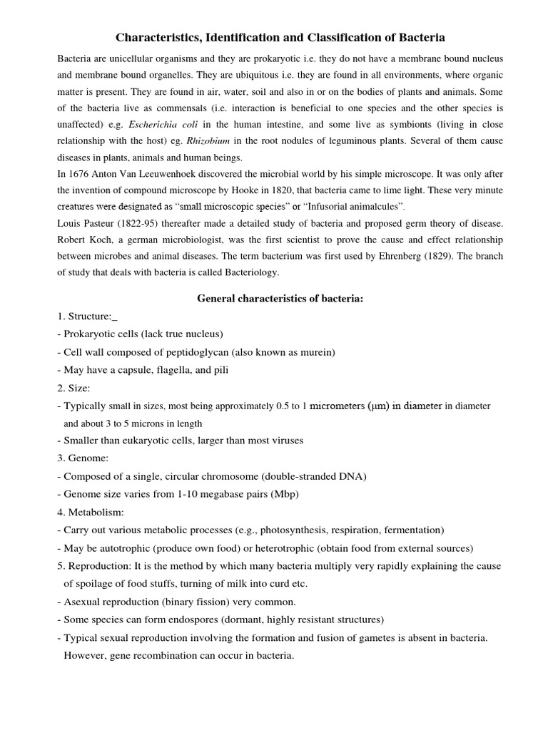 Characteristics Identification and Classification of Bacteria | PDF | Bacteria | Microbiology