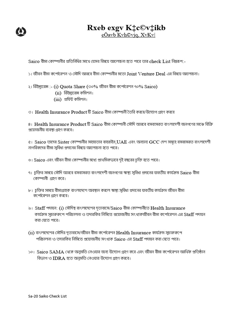 Saico Checking List | PDF