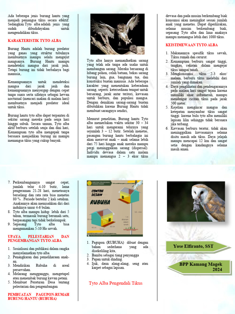 Folder Tyto Alba Pengendali Tikus | PDF