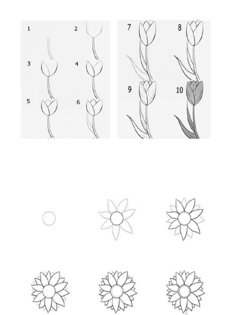 Gambar Proporsi Bunga | PDF