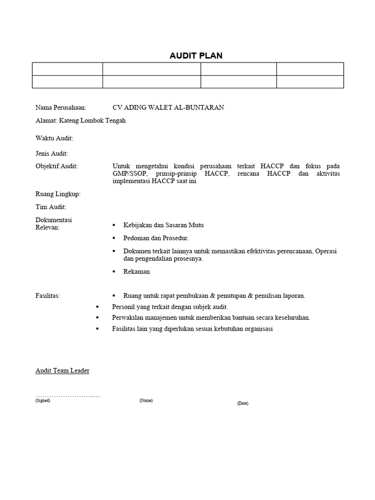 contoh audit plan | PDF