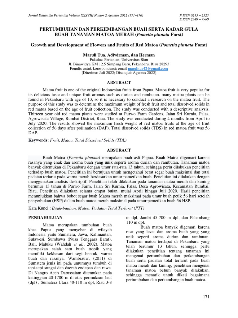 Editorialdinamika,+AG6 Maruli+Tua,+Adiwirman+Okey | PDF