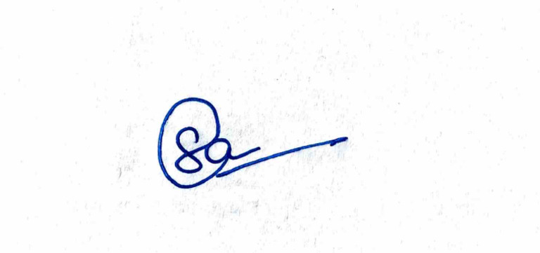 saurabh sign | PDF