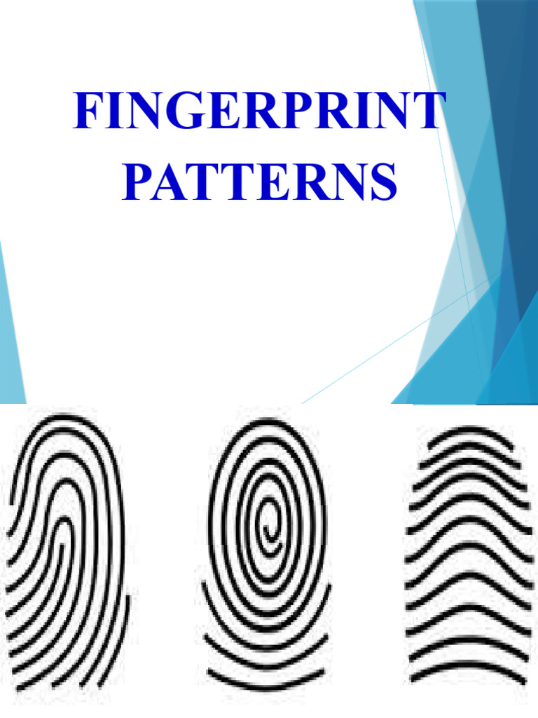 Fingerprint Patterns | PDF | Fingerprint | Hand