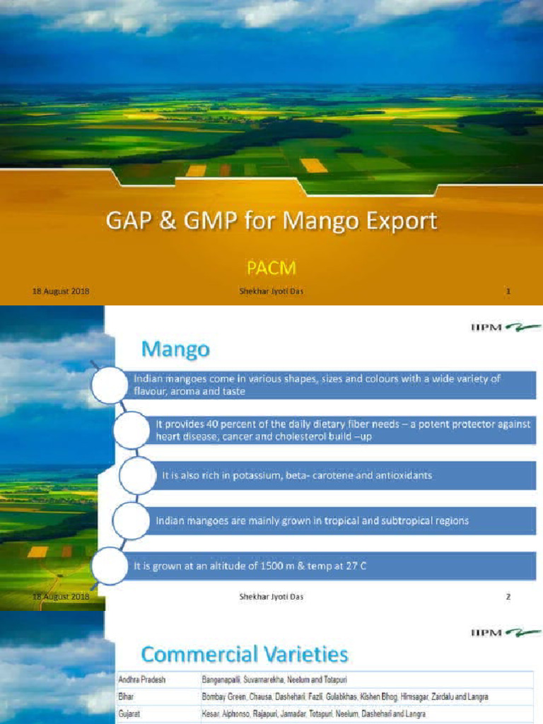 Gap GMP For Mango Export | PDF