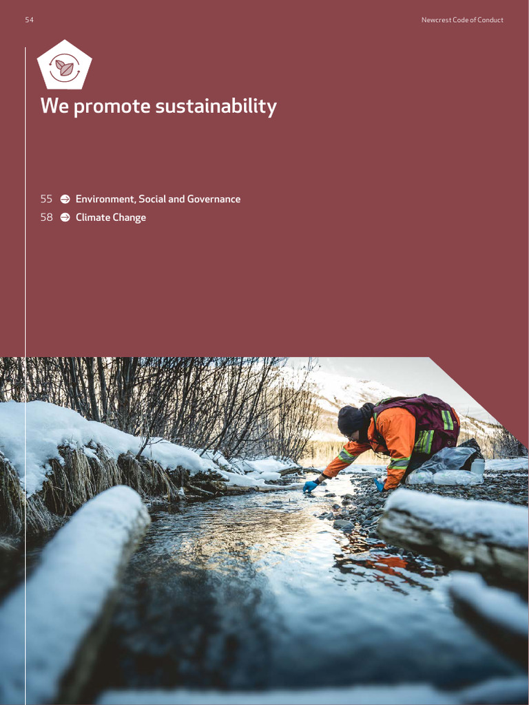 How We Promote Sustainability | PDF | Sustainability | Climate Change