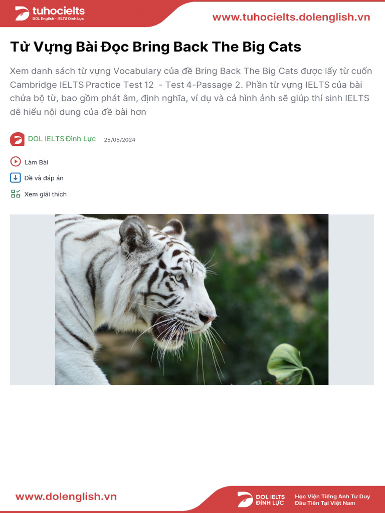 Bring Back The Big Cats | PDF