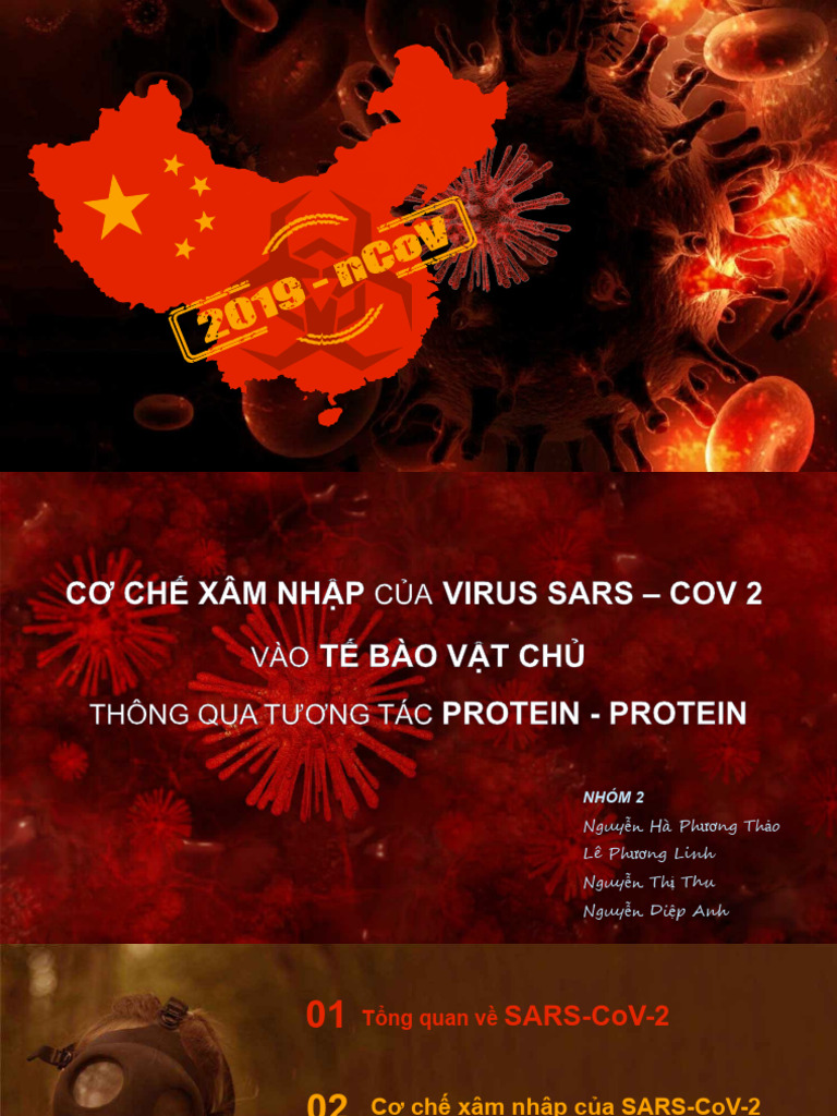 SARS CoV 2 | PDF