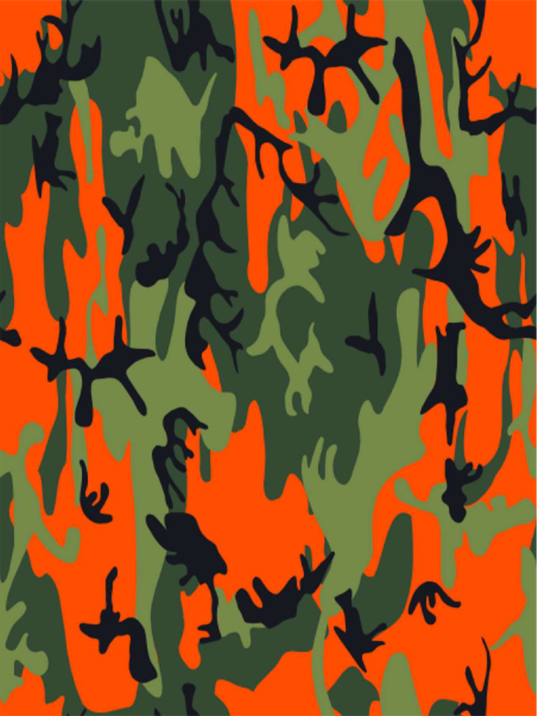 CAMO | PDF