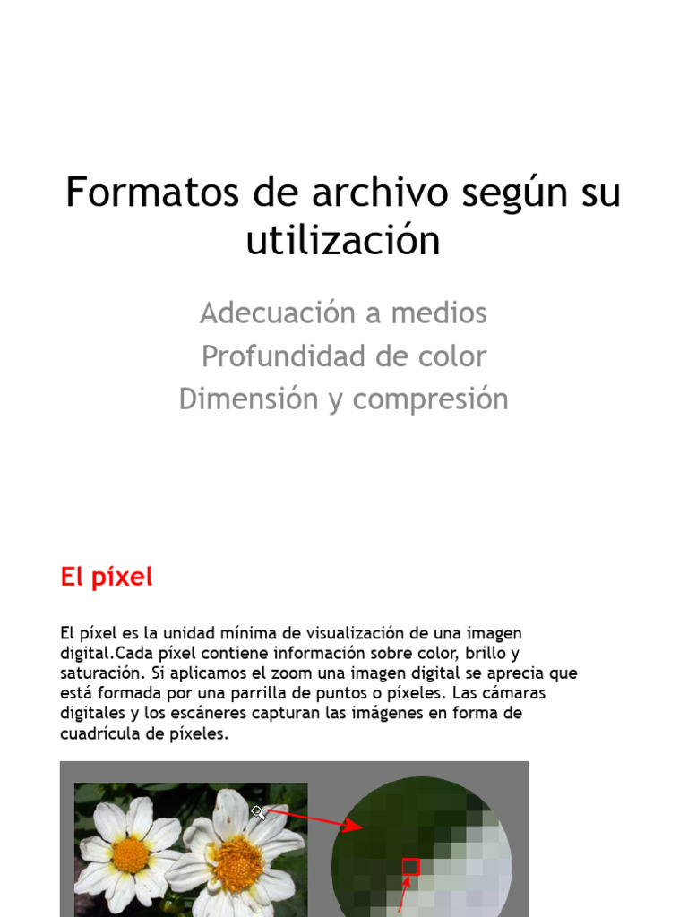 Guía de Formatos de Imagen Digital | PDF | Píxel | Resolución de imagen