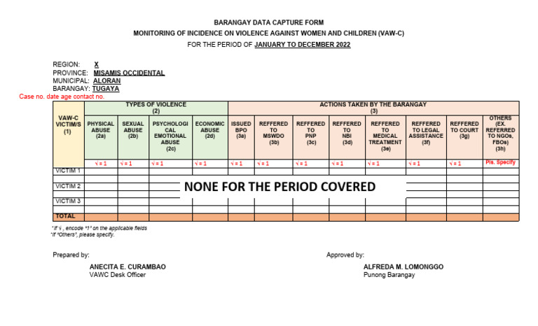 Vawc BARANGAY DATA CAPTURE FORM | PDF | Sexual Abuse | Problem Behavior