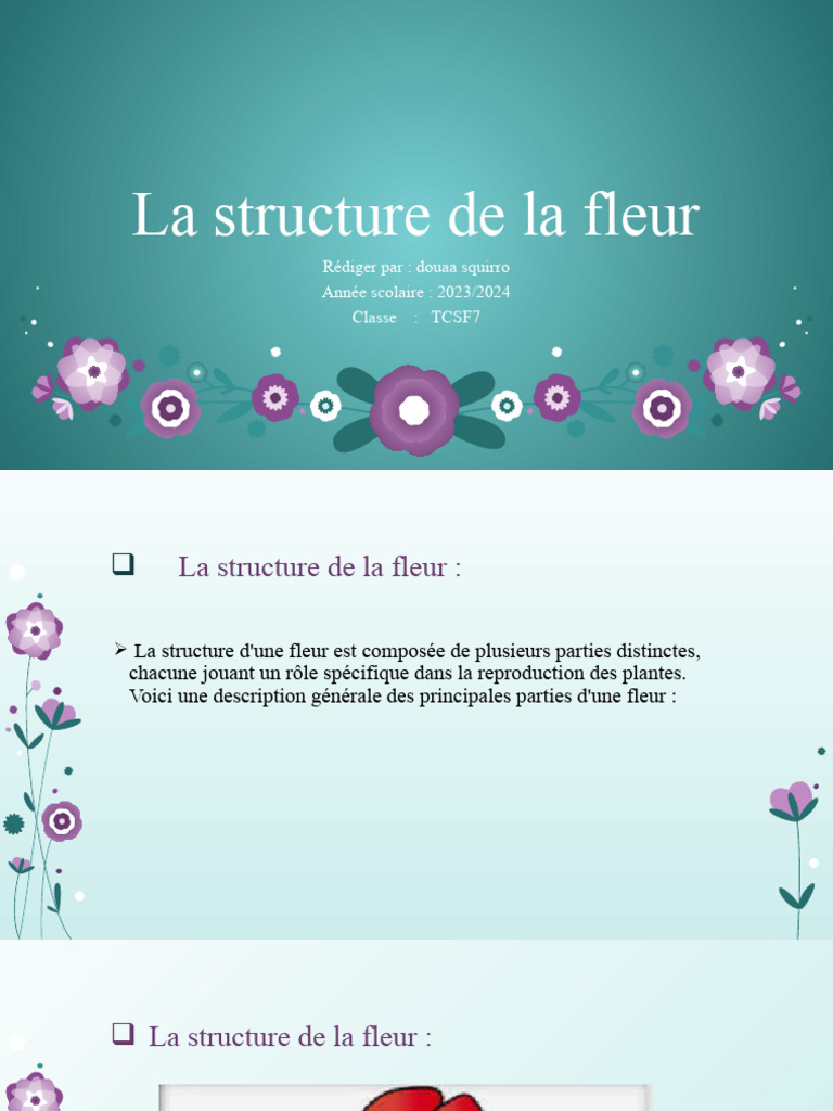 La Structure de La Fleur | PDF | Bien-être | Sciences et mathématiques