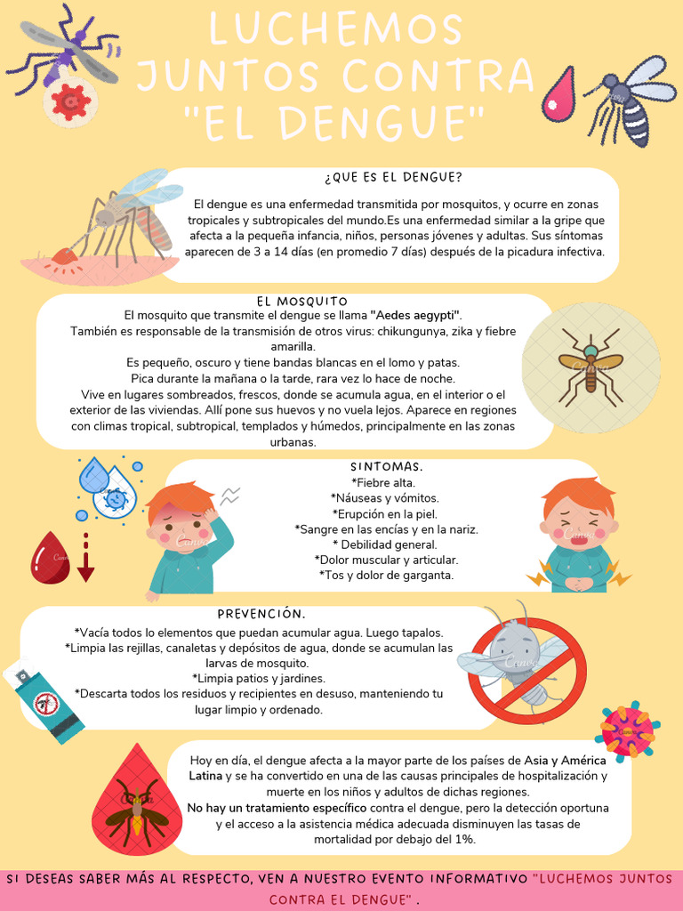 Afiche Informativo sobre el Dengue | PDF | Ciencias de la Salud ...