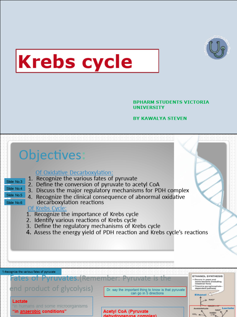 Krebs Cycle 1 | PDF | Diet & Nutrition | Chemistry