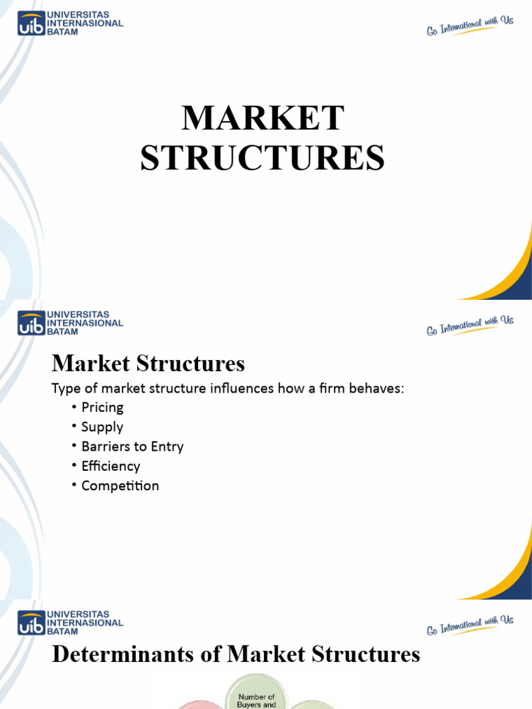 Understanding Market Structures Explained | PDF | Perfect Competition ...