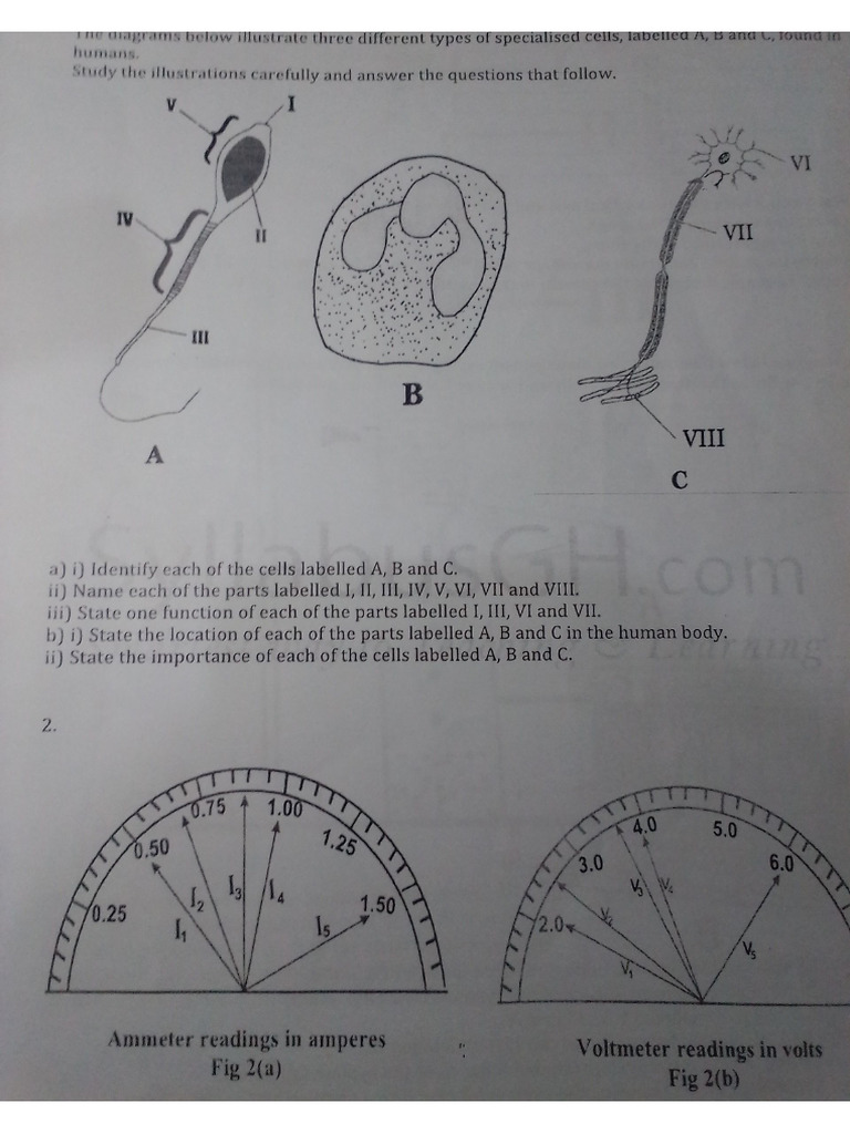 Integrated Science. | PDF