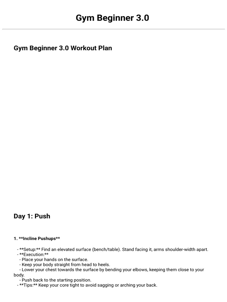 Beginner Gym Workout Plan 3.0 | PDF | Wellness