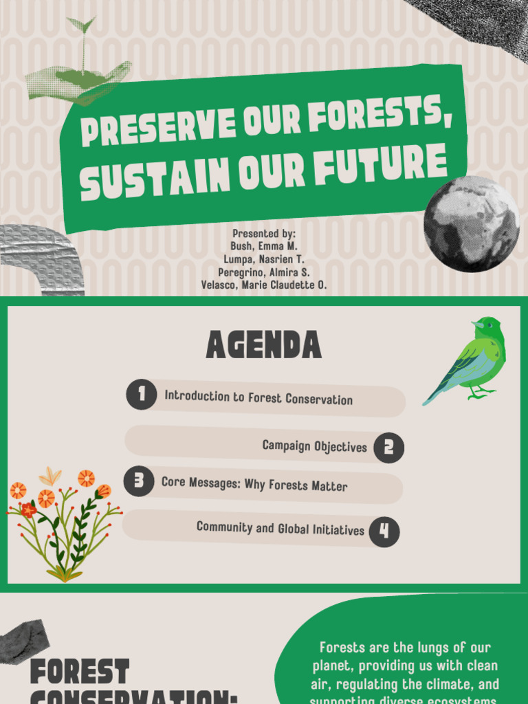 Campaign Presentation About Greenhouse Gases | PDF | Deforestation ...