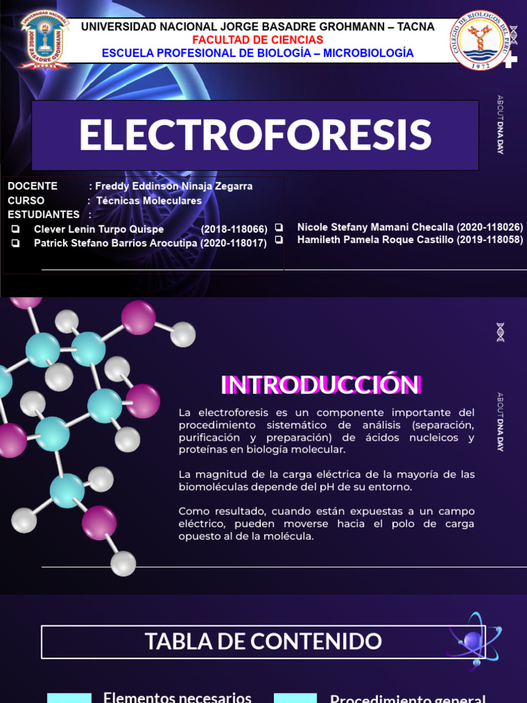 T4 Electroforesis | PDF | Electroforesis | Blot (biología)