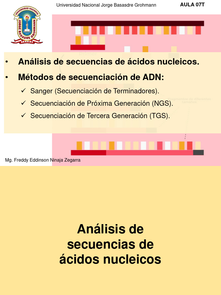 T7 Secuenciación | PDF | Secuencia ADN | Gene