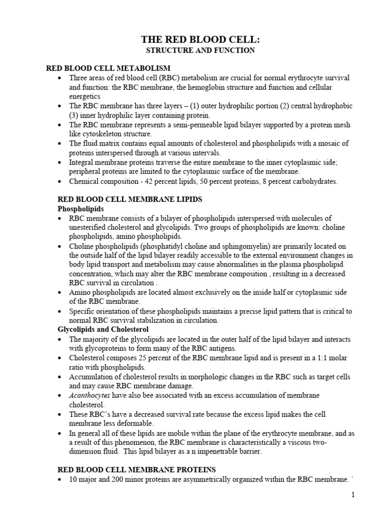 The Red Blood Cell | PDF | Cell Membrane | Red Blood Cell