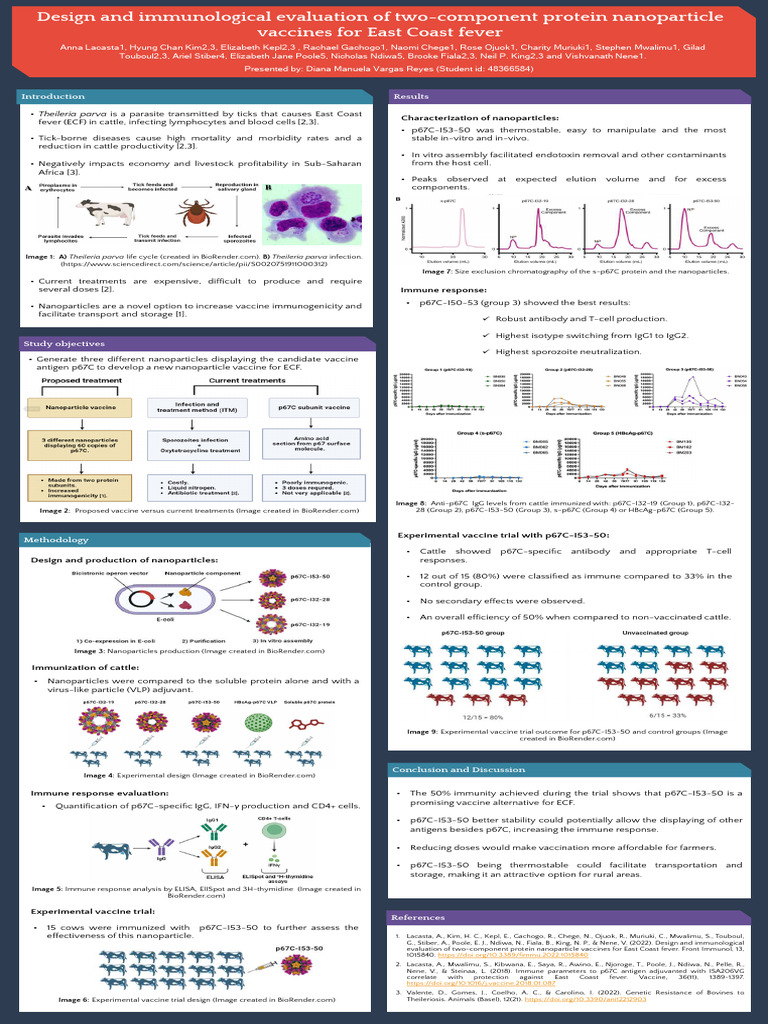 Animal Immunology Poster - Diana Manuela Vargas - 48366584 | PDF ...