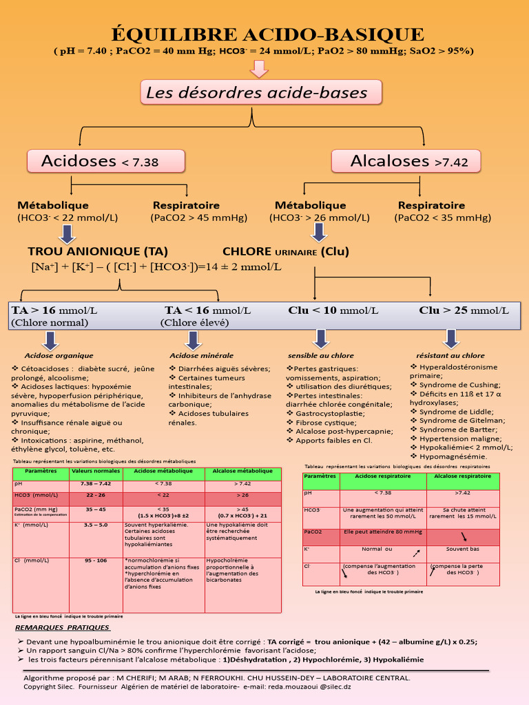Equilibre Acido-Basique | PDF | Spécialités médicales | Maladies et troubles