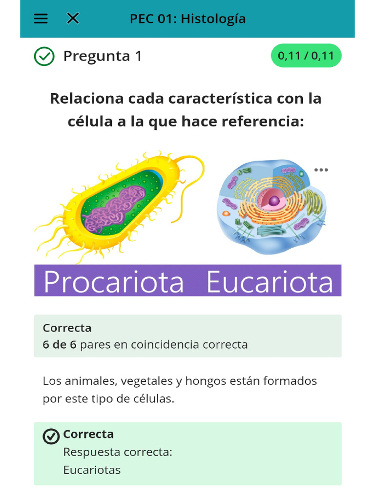 Pec 1 - Histologia | PDF