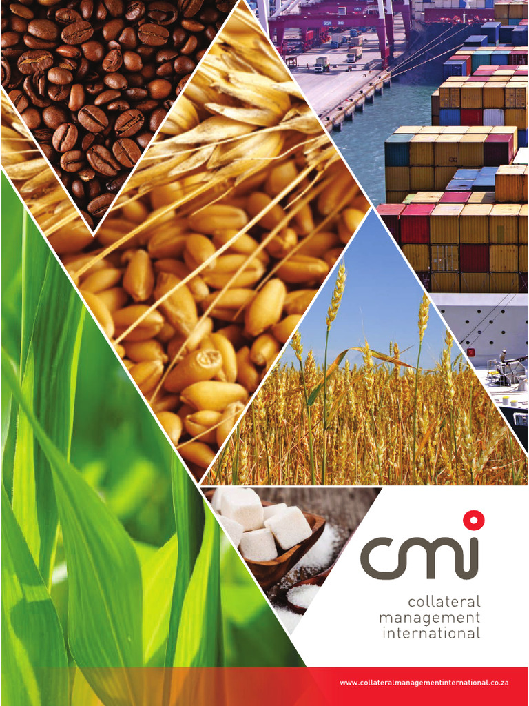 CMI Profile | Download Free PDF | Financial Services | Service Industries