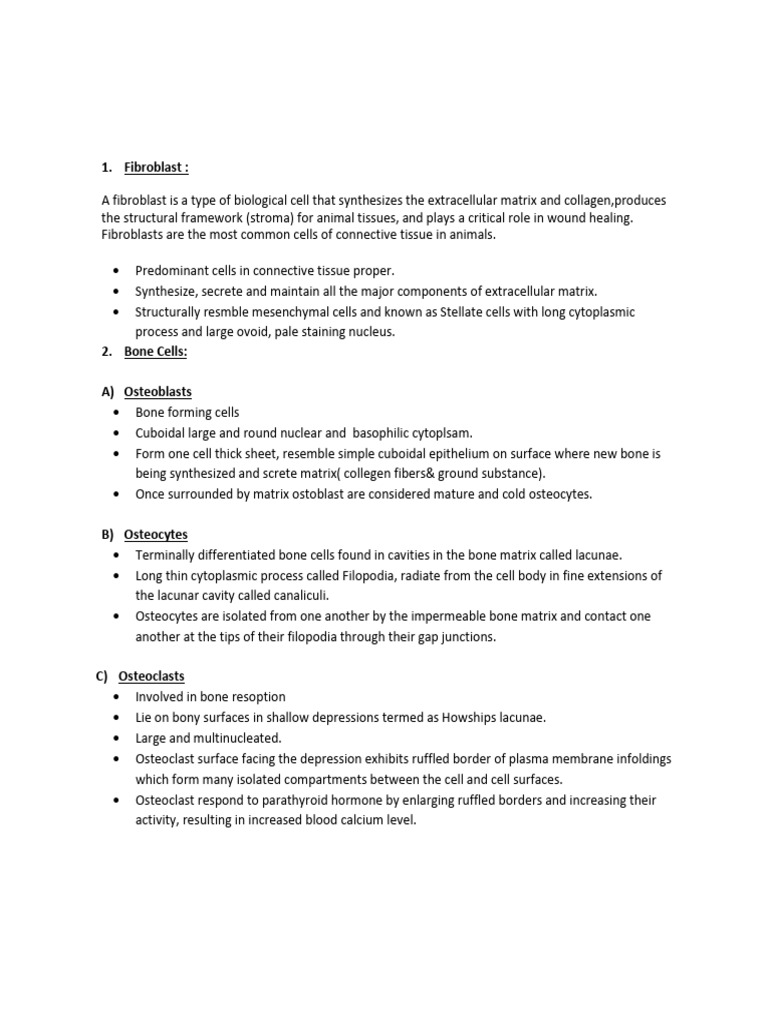 Second Year 1st Practical - Cells | PDF | Bone | Axon