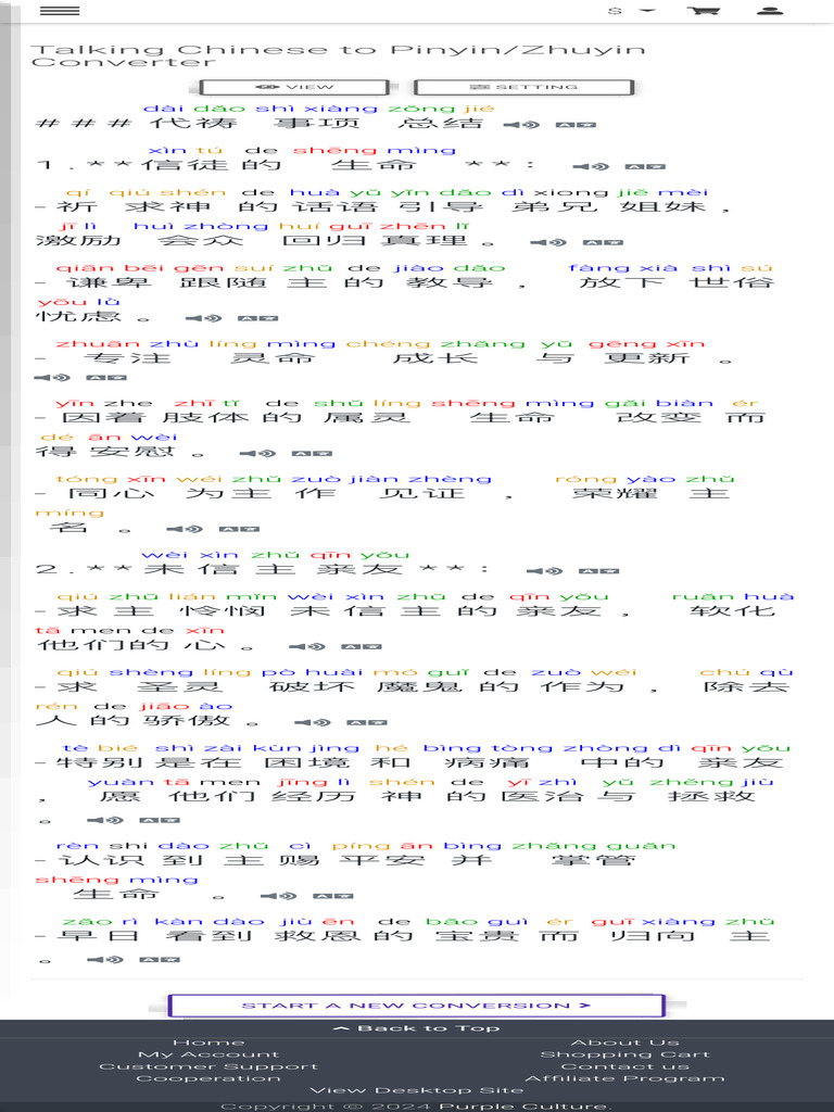 Talking Chinese to PinyinZhuyin Converter | PDF