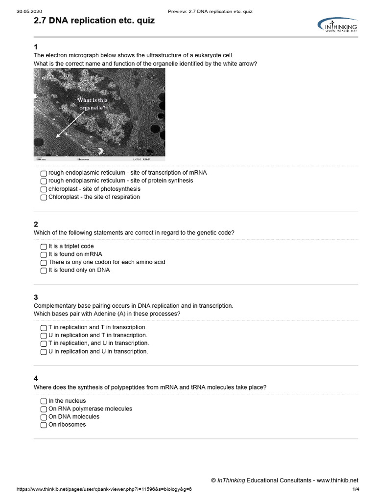 2.7 DNA Replication Etc. Quiz | PDF | Messenger Rna | Dna
