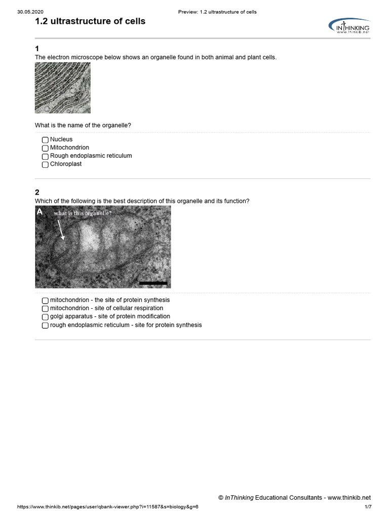 Ultrastructure of Cells Explained | PDF | Cell (Biology) | Mitochondrion