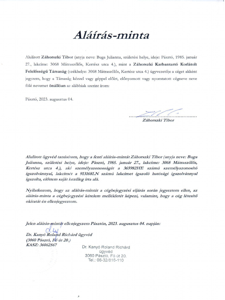 Aláírás Minta | PDF