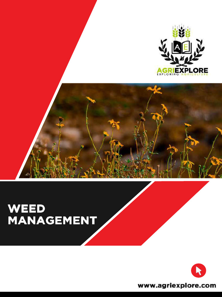 Weed Management | PDF | Seed | Weed
