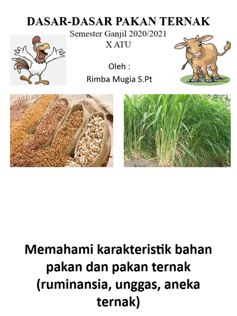 Dasar Dasar Pakan Ternak | PDF