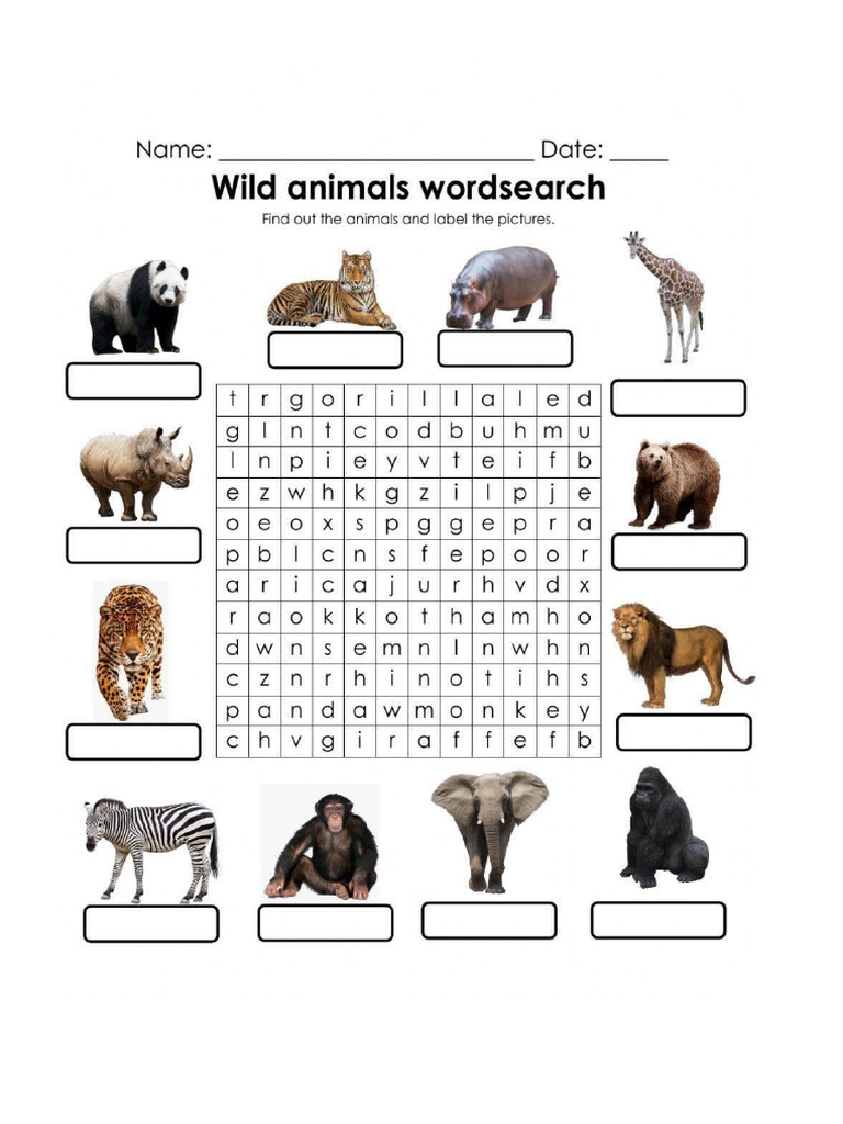 Wild Animals | PDF