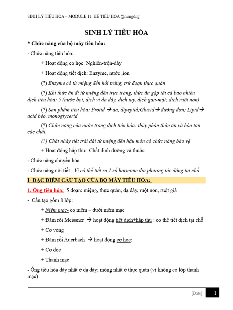 Sinh Lý Tiêu Hóa | PDF