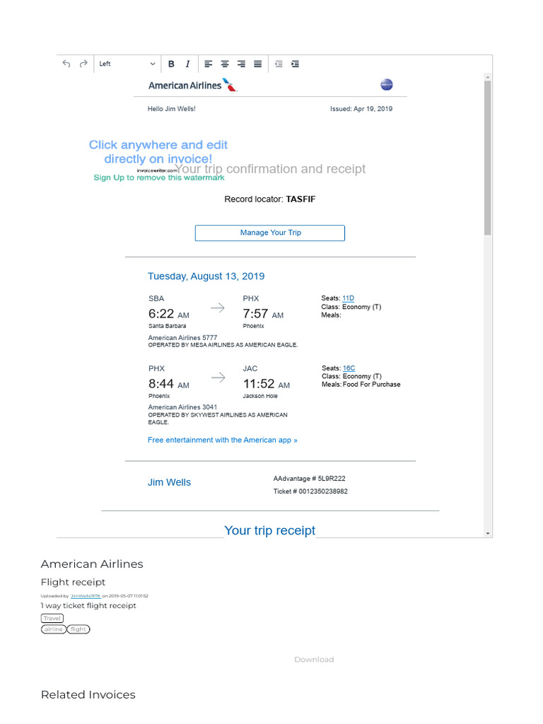 InvoiceWriter - American Airlines | PDF | American Airlines | Transport Companies