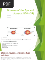 Glaucoma ICD-10 Quick Reference 100120 Final | PDF | Glaucoma | Vision