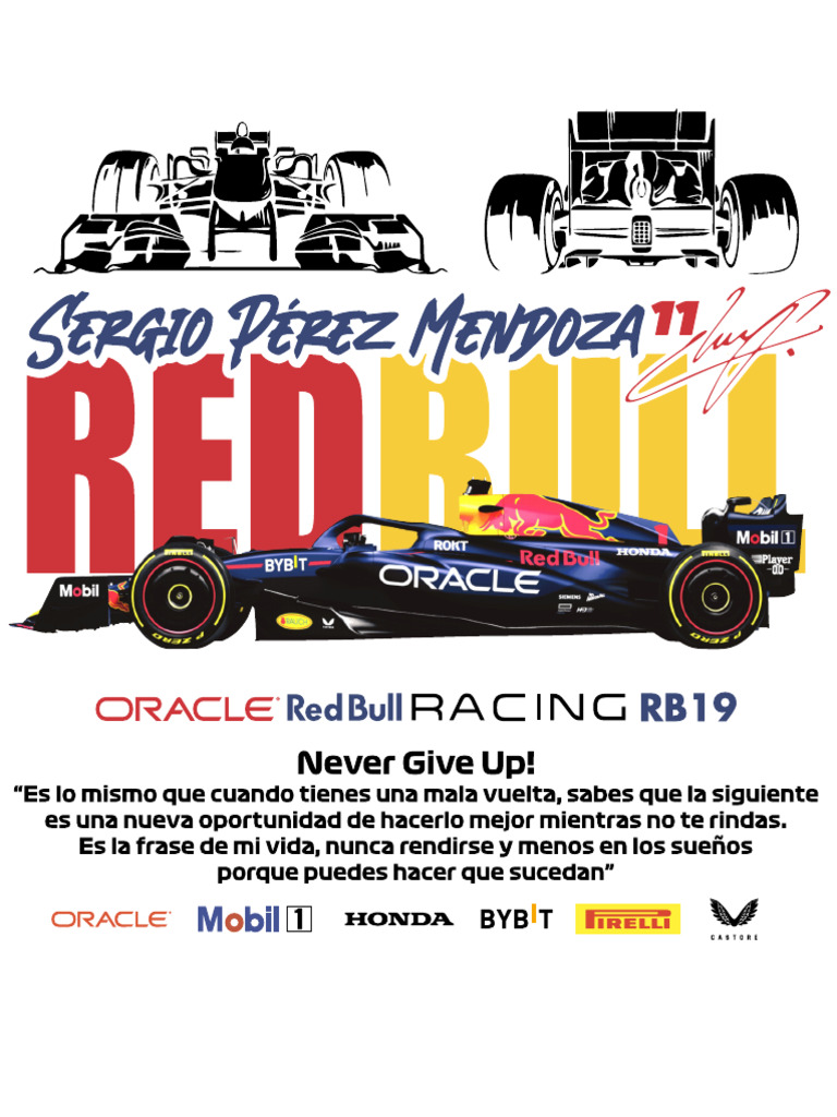 f1 Redbull SP | PDF