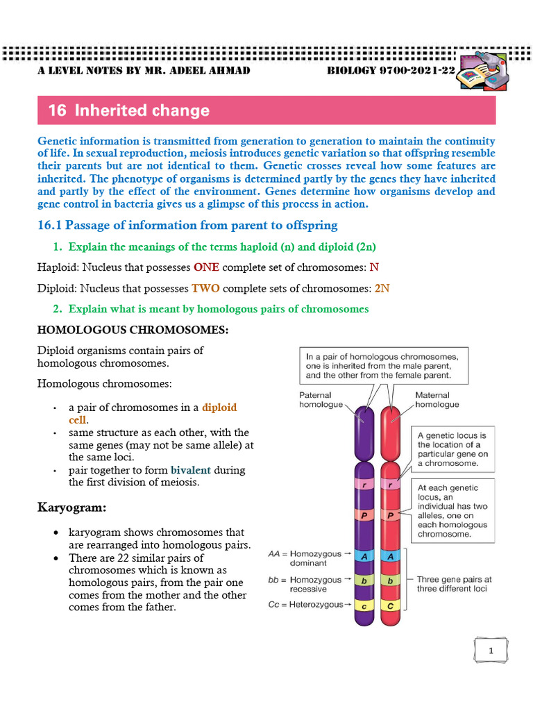 Inheritance Change Notes Half | PDF | Meiosis | Dominance (Genetics)