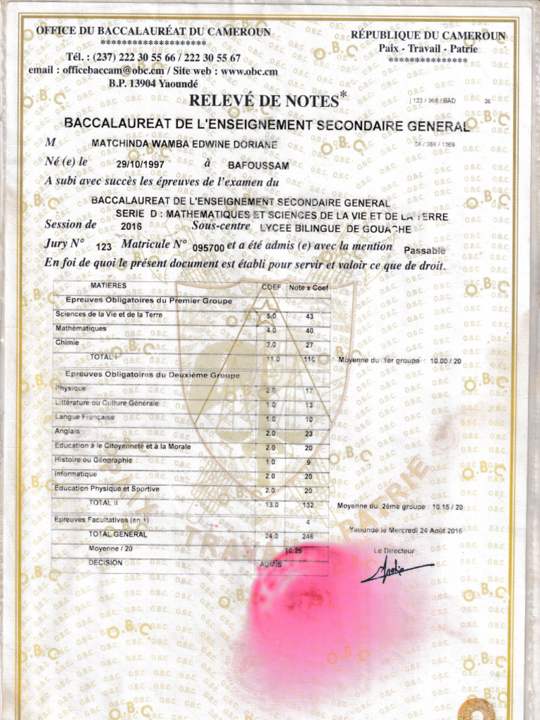 Releve de Note Bac | PDF