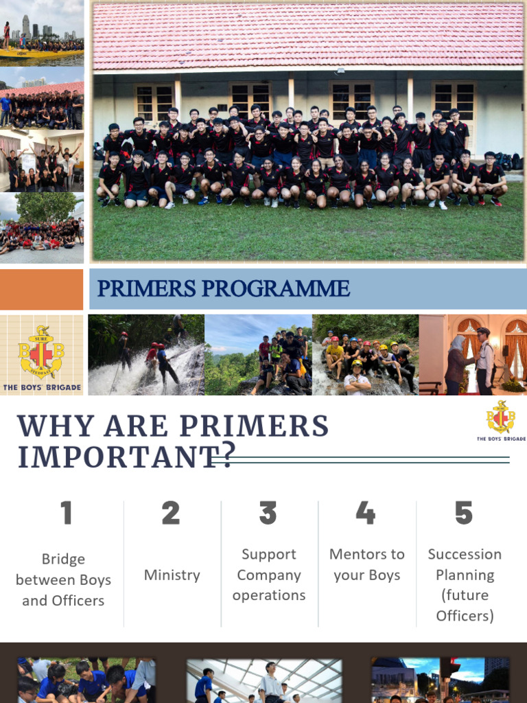 Introduction To Primers | PDF