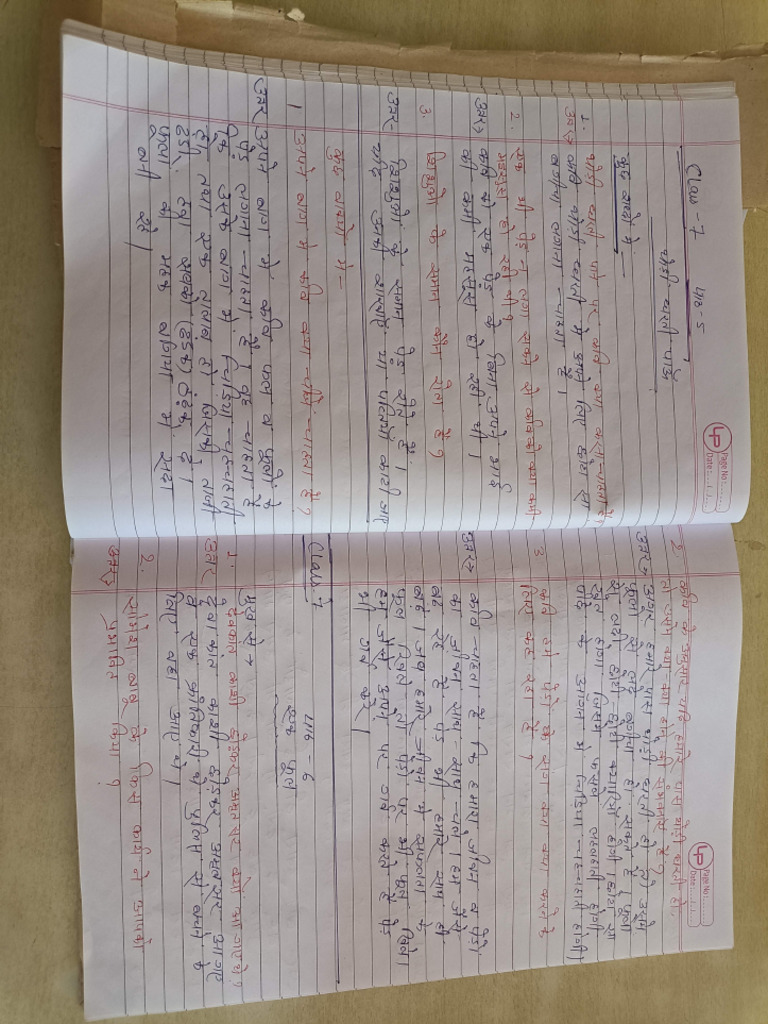 Hindi Notes | PDF