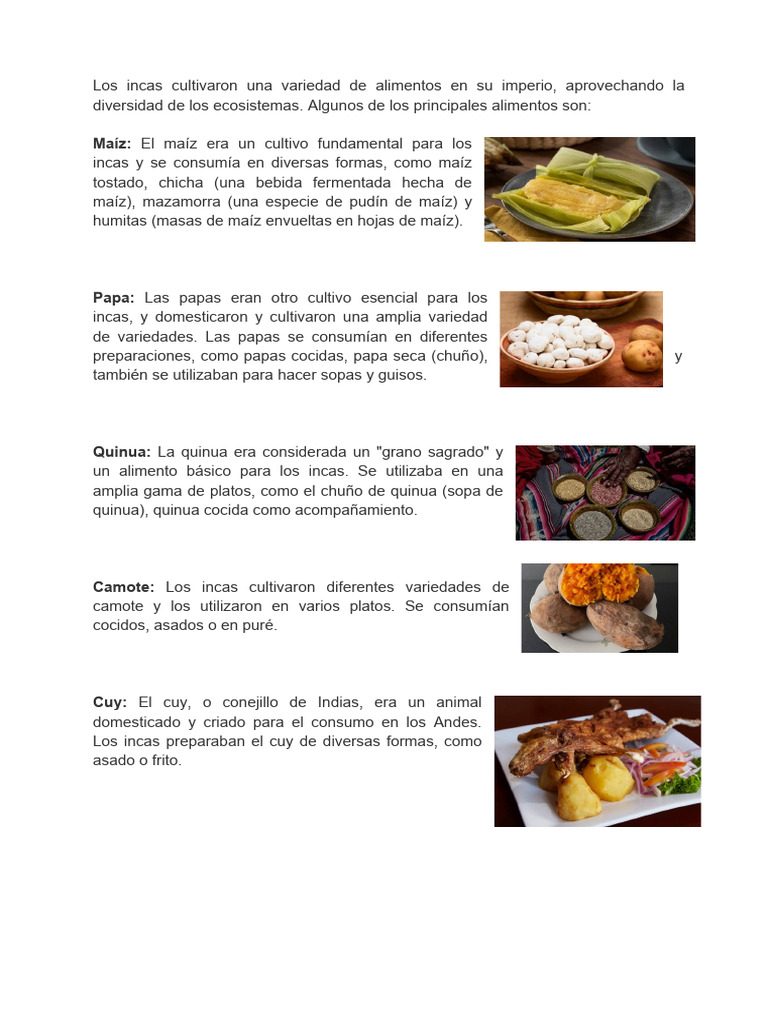 Alimentos básicos de los incas: maíz y más | PDF