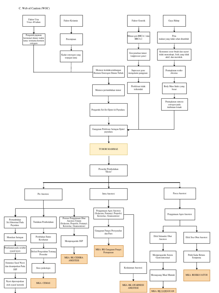 Pathway Tumor Mammae Revisi After Seminar | PDF