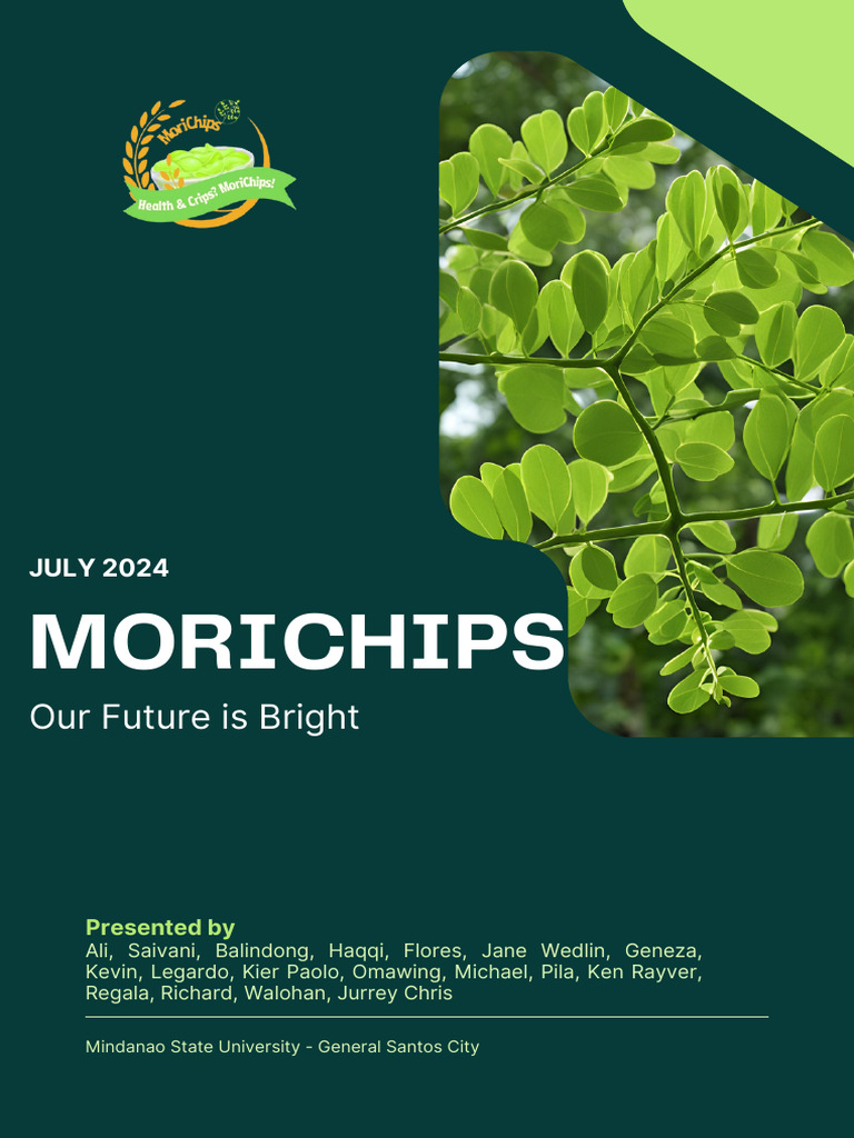 Moringa Chips | PDF | Balance Sheet | Equity (Finance)
