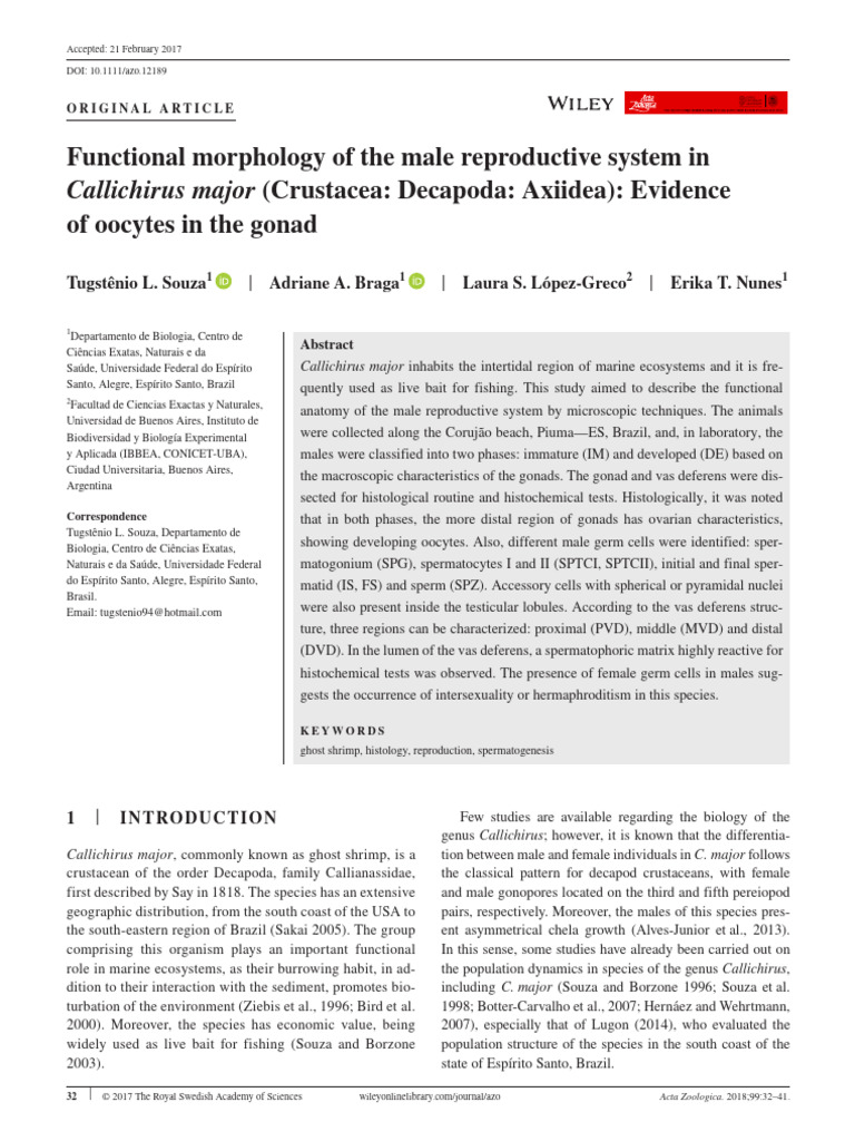 Acta Zoologica - 2017 - Souza - Functional Morphology of The Male Reproductive System in ...