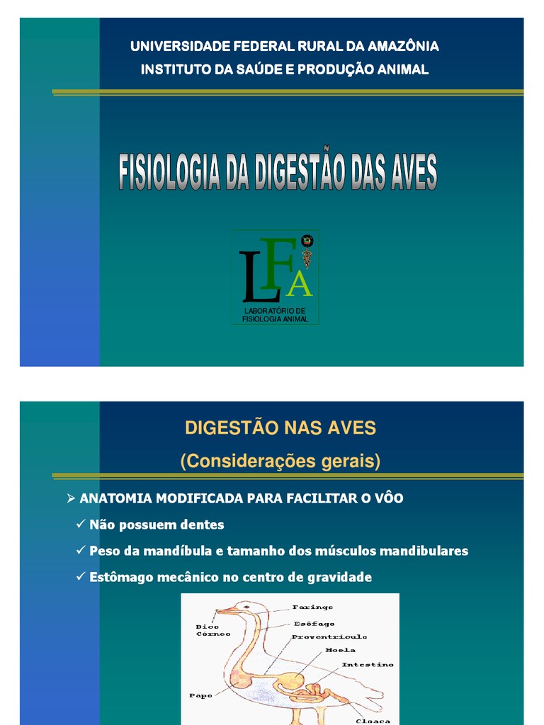 Fisiologia da digestão das aves